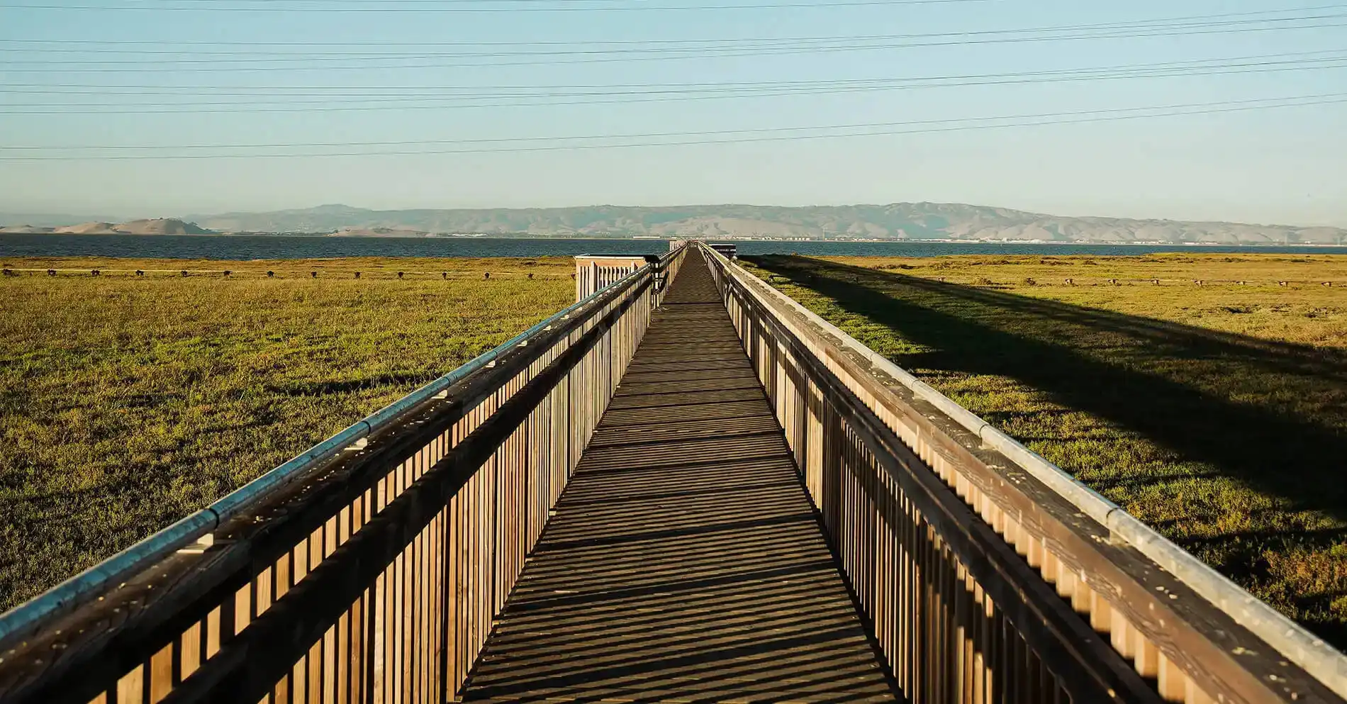 Arash Law - East Palo Alto Injury Law Firm (888) 488-1391