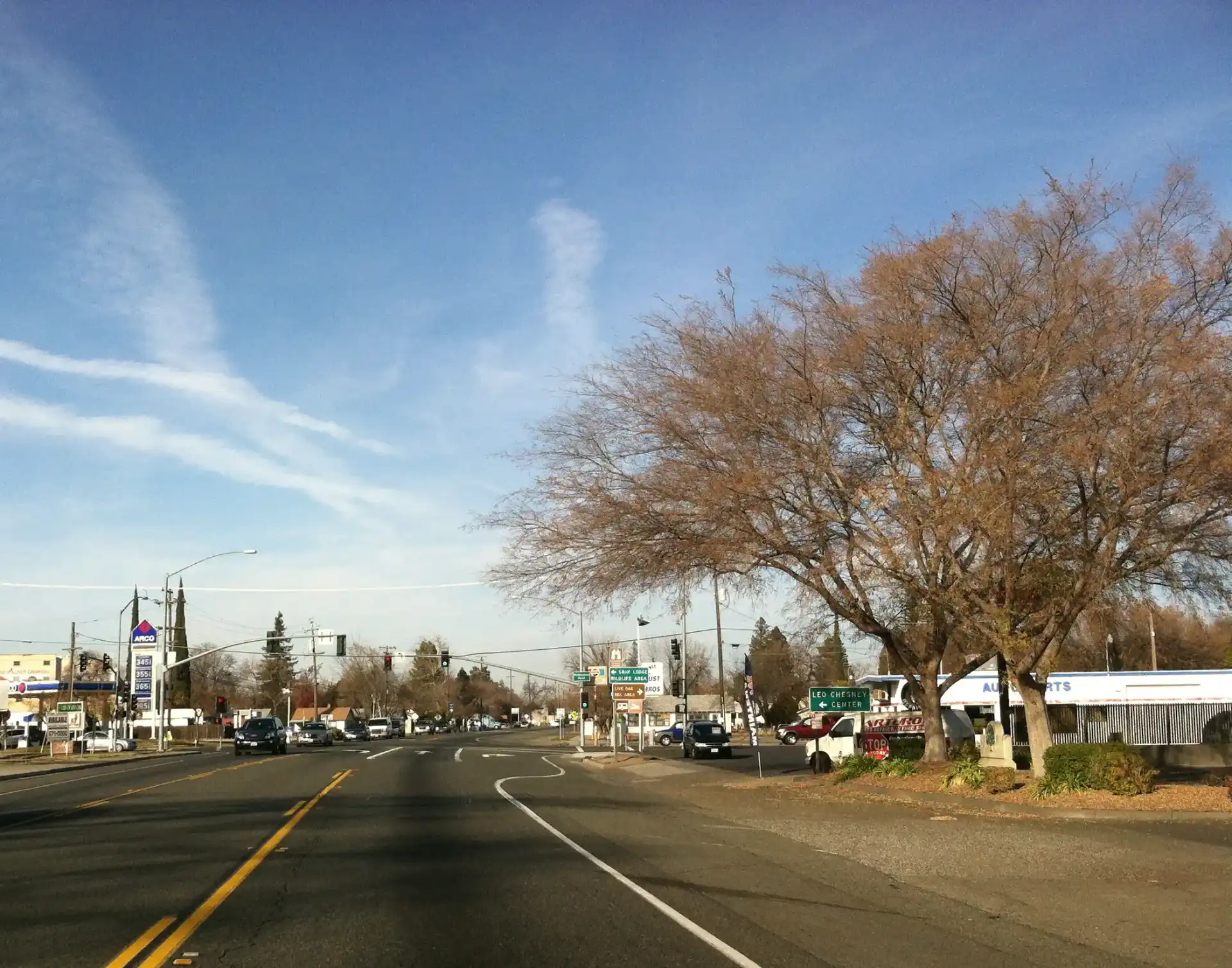 Arash Law - Live Oak Injury Law Firm (888) 488-1391